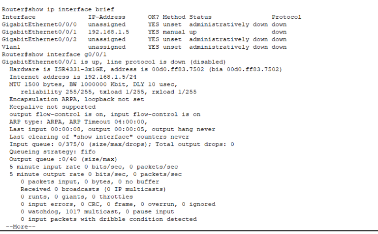 How to Verify IP Addressing Assignment in Cisco Routers - CyberNomadTV